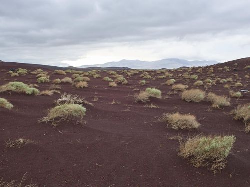 California's Daytime Landscape: The Beauty of Nature - HDRi Maps and ...