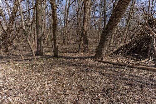Canadian Forest with Deciduous Tree and Brown Leaves - HDRi Maps and ...