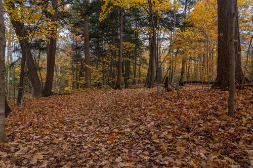Canadian Landscape: Exploring Nature in Toronto
