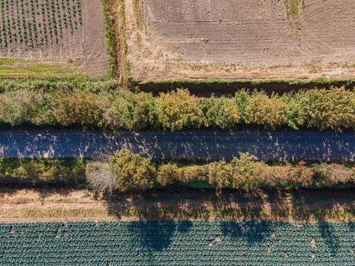 Elevated View of Green Fields in Holland - HDRi Maps and Backplates