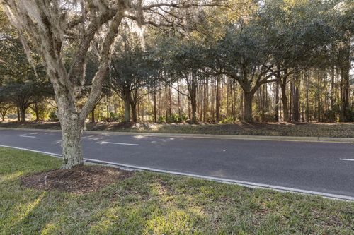 Florida Scenic Road through Green Grass and Trees - HDRi Maps and ...