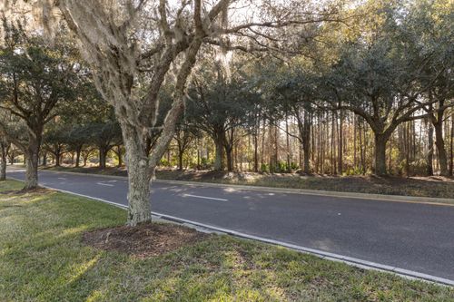 Florida Scenic Road through Green Grass and Trees - HDRi Maps and ...
