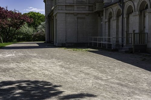 Lush Greenery in Ontario's Rural Landscape - HDRi Maps and Backplates