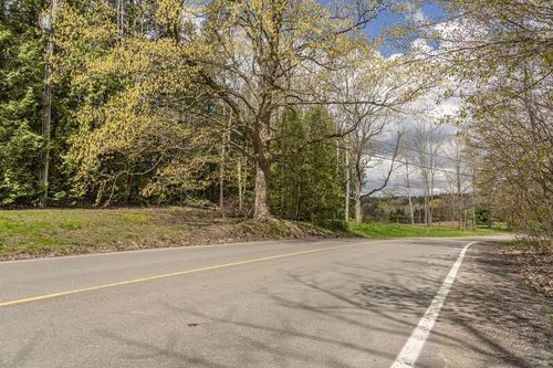 Lush Vegetation Along the Road in Toronto, Canada - HDRi Maps and ...