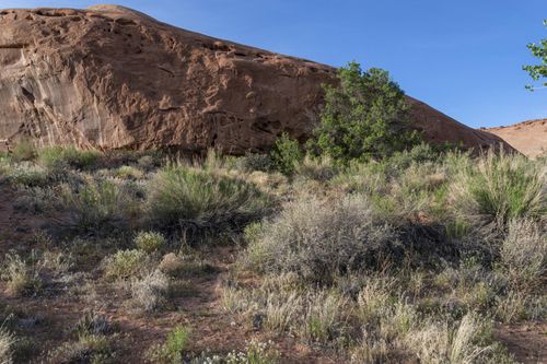 North Wash Utah Rugged Terrain - HDRi Maps and Backplates