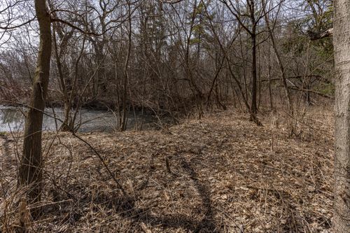 Ontario Canada Grove of Deciduous Trees - HDRi Maps and Backplates