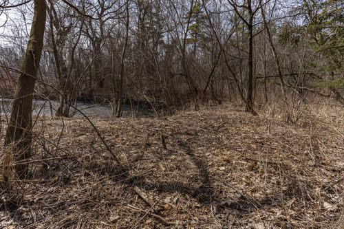 Ontario Canada Grove of Deciduous Trees - HDRi Maps and Backplates