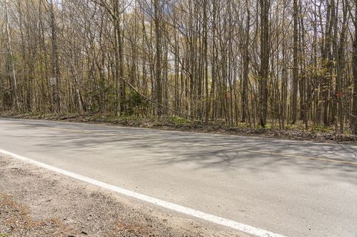 Ontario Canada: Lush Vegetation Road - HDRi Maps and Backplates
