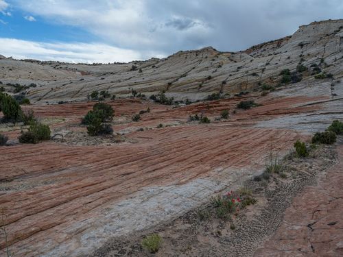 Open Space Landscape in Utah: A Sky Full of Majestic Clouds - HDRi Maps ...