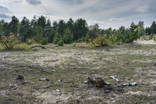 Rural Landscape in Germany: Burnt Out Field in Berlin - HDRi Maps and ...