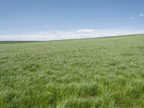 Rural Landscape in Germany: Fields as Far as the Eye Can See - HDRi ...