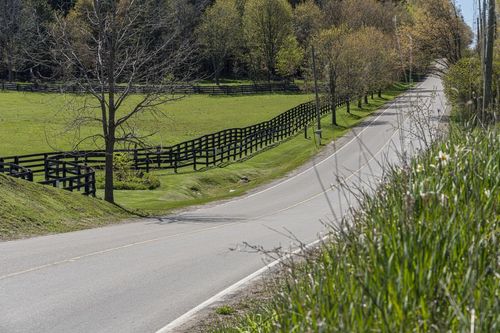 Rural Ontario: A Tree-Lined Road to the Farm - HDRi Maps and Backplates
