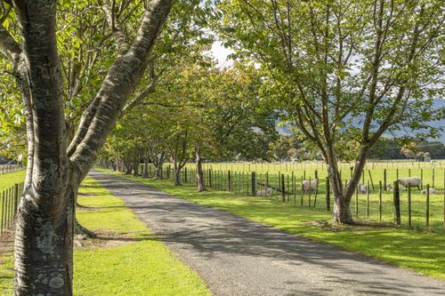 Rural Road Landscape with Green Vegetation - HDRi Maps and Backplates
