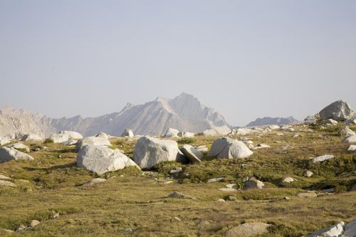 Scenic Rocky Field With Mountains and Trees