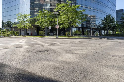 Tree-Lined Roads and Asphalt Streets in Toronto - HDRi Maps and Backplates