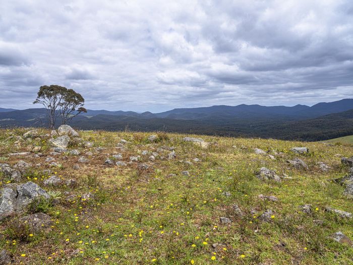 Aerial View of New South Wales Landscape in Australia - HDRi Maps and ...