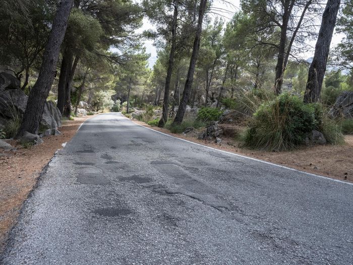 Navigating the Spanish Highways - HDRi Maps and Backplates