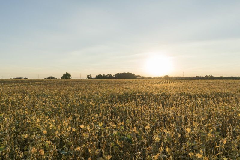 Scenic Landscape in the Midwest HDRi Maps and Backplates