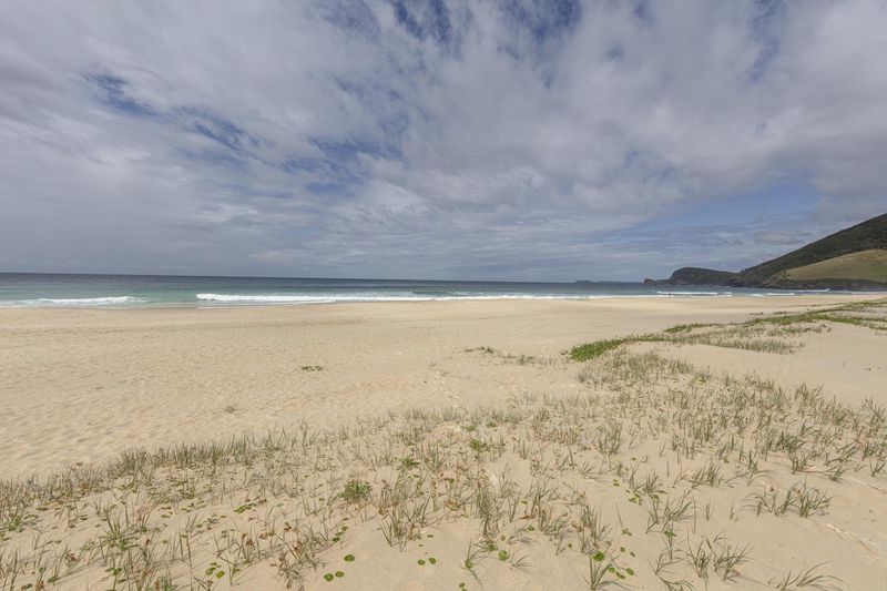 Coastal Landscape with Open Space and Beach - HDRi Maps and Backplates