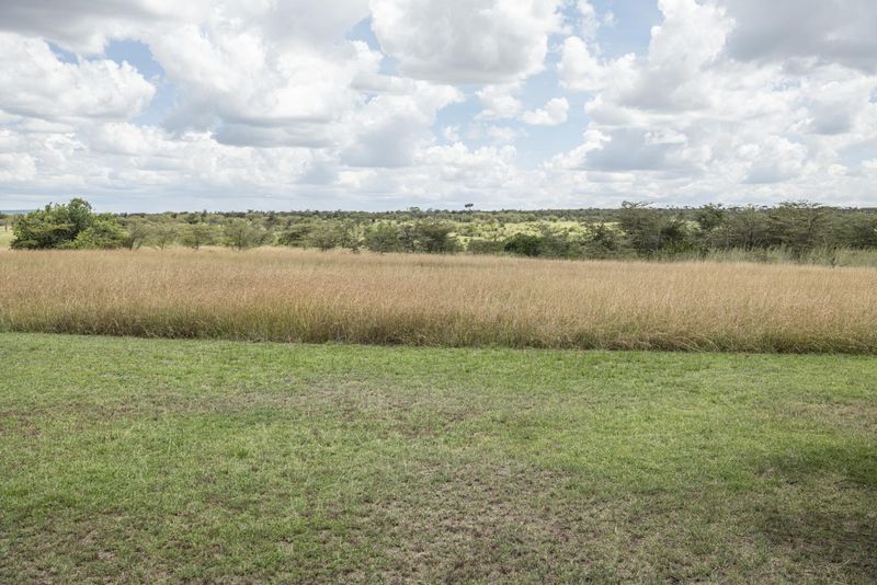 Africa: An Open Grassy Plain Landscape HDRi Maps and Backplates
