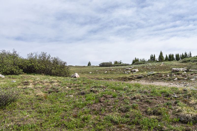 Alpine Landscape in the Colorado Mountains HDRi Maps and Backplates