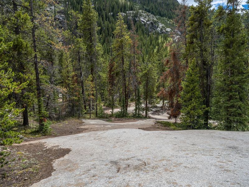 Aspen, Colorado Landscape: Rocky Forests and Open Spaces HDRi Maps and ...