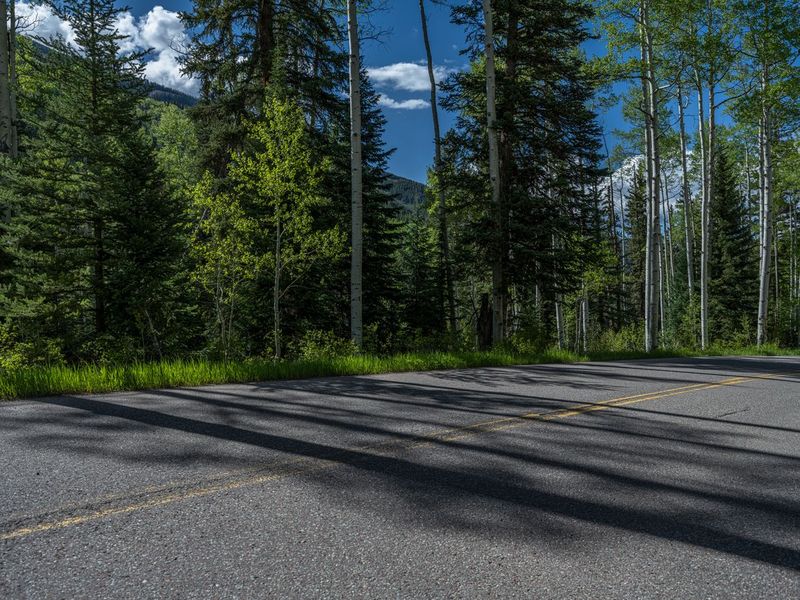 Aspen Forests and Mountain Shadows in Colorado HDRi Maps and Backplates