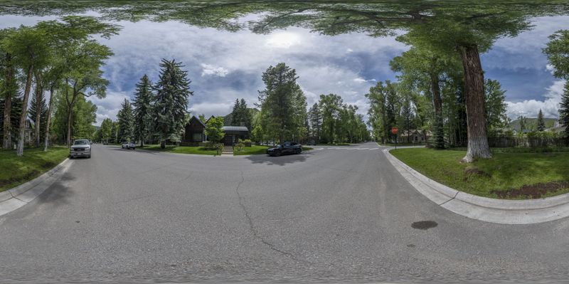 Aspen Trees Lining the Roads of Colorado Suburbs