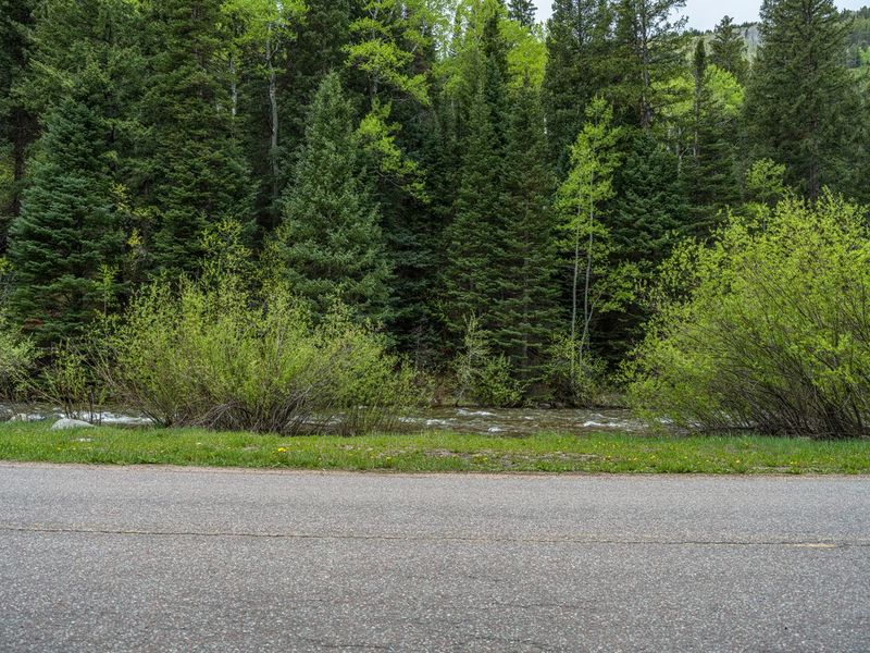 Aspen Trees in Colorado, USA Landscape HDRi Maps and Backplates