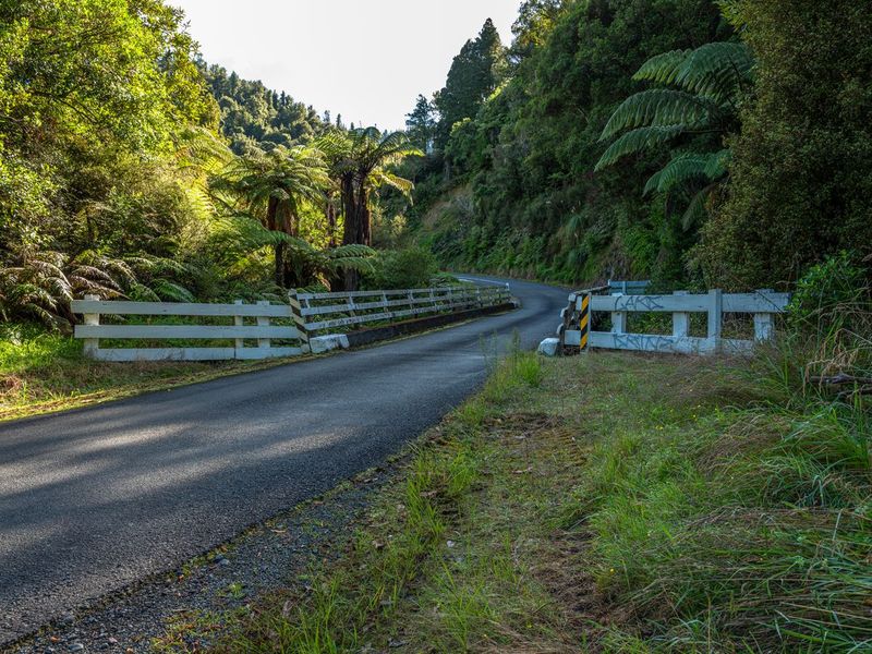 Asphalt Road in New Zealand's North Island HDRi Maps and Backplates