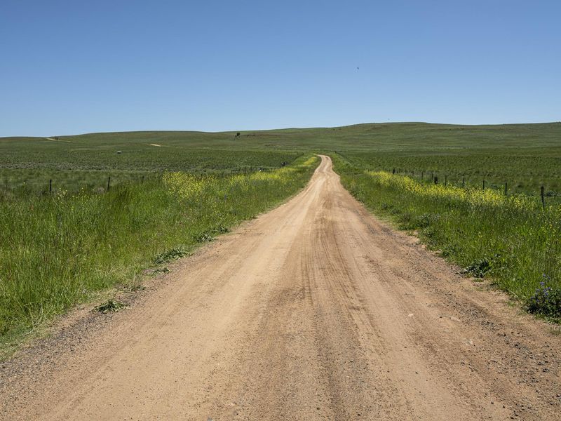 Nimmitabel Landscape: A Clear Sky in Australia HDRi Maps and Backplates