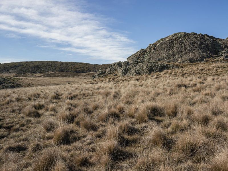 Australian Grass Fields: A Vast Open Space HDRi Maps and Backplates