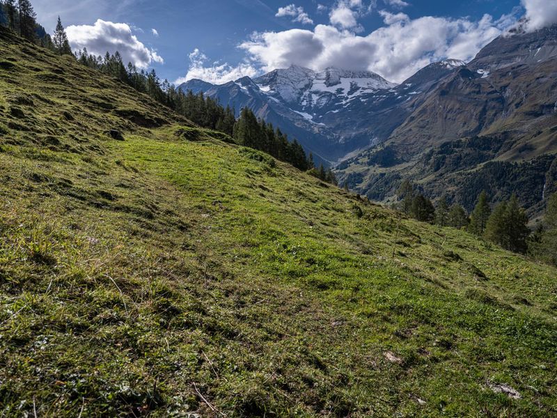 Austrian Mountain Landscape with Open Slopes HDRi Maps and Backplates