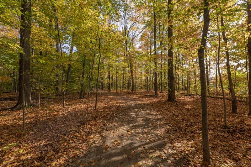 Autumn Forest in Ontario, Canada - HDRi Maps and Backplates