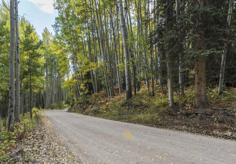 Autumn Forest Road: A Nature Landscape HDRi Maps and Backplates