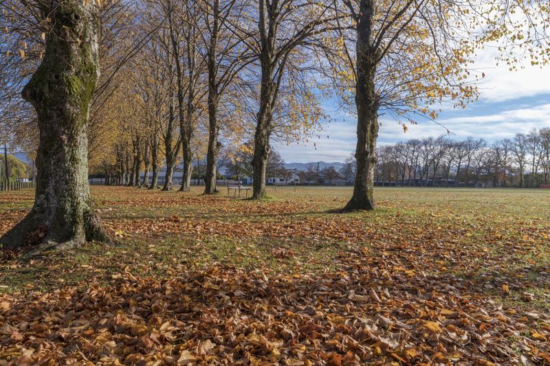 Autumn Landscape with Low Sunlight in a Park HDRi Maps and Backplates