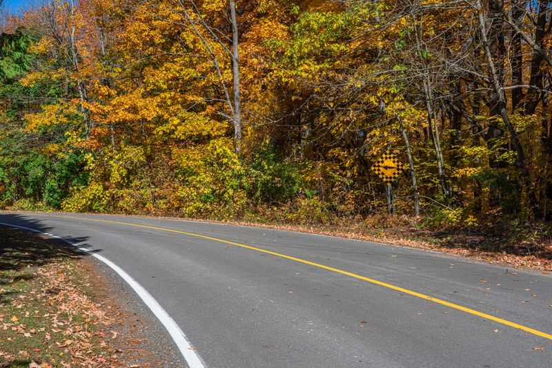 Autumn Roadway in Toronto, Ontario HDRi Maps and Backplates