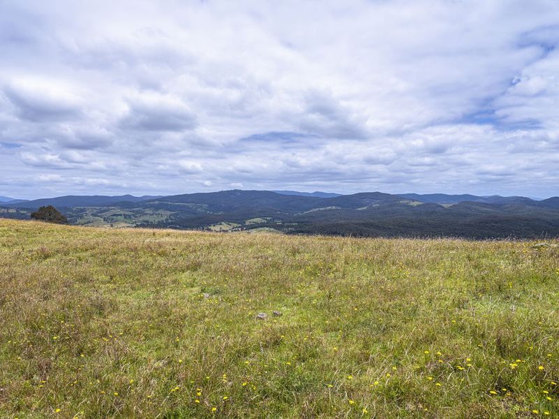Bald Hills, Australia: A Gloomy Landscape HDRi Maps and Backplates