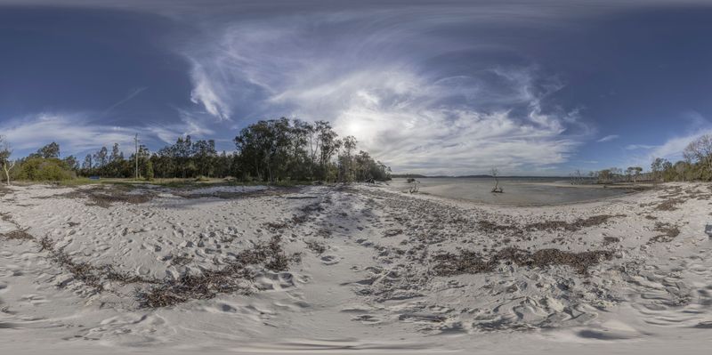 Beach with Trees: A Serene Open Space HDRi Maps and Backplates