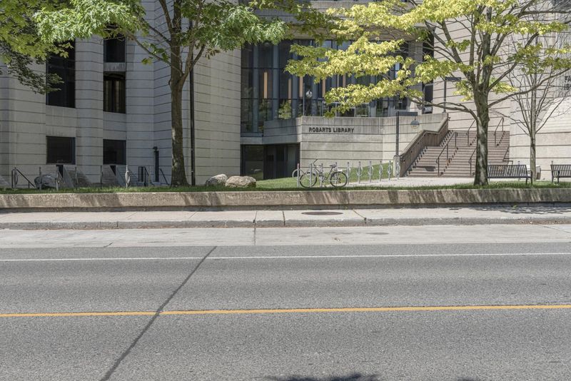 Beautiful Tree-Lined Streets in Toronto, Canada HDRi Maps and Backplates