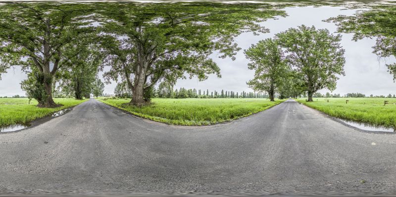 Scenic Road in Bega Valley, Australia HDRi Maps and Backplates