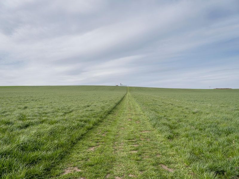 Berlin, Germany: Beautiful Landscape with Green Grass HDRi Maps and ...