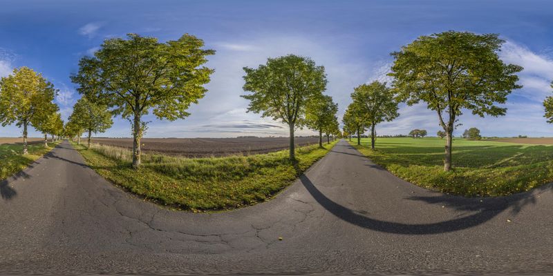 Berlin, Germany: Roadside Trees in a Rural Area - HDRi Maps and Backplates