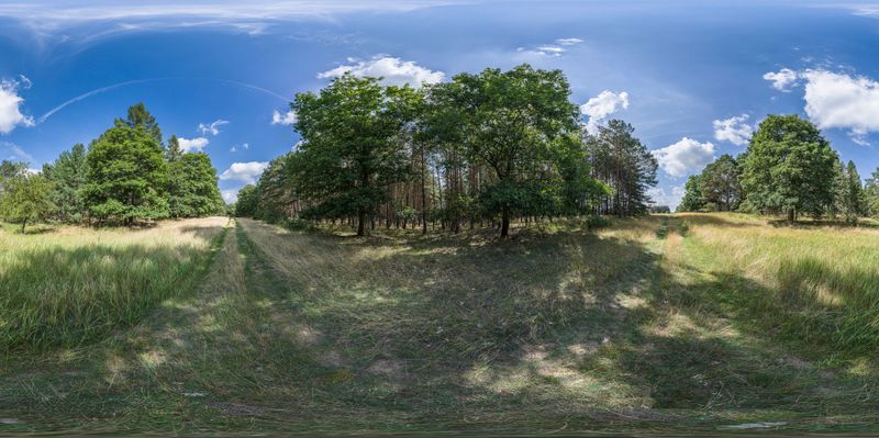 Berlin Landscape: A Field with Trees and Blue Sky HDRi Maps and Backplates