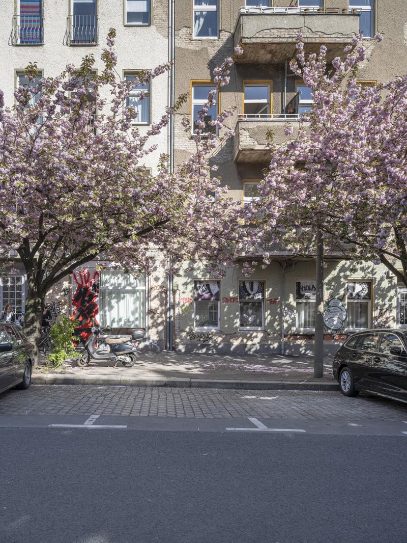 Berlin Residential Area: Spring Vibes with Urban Design HDRi Maps and ...