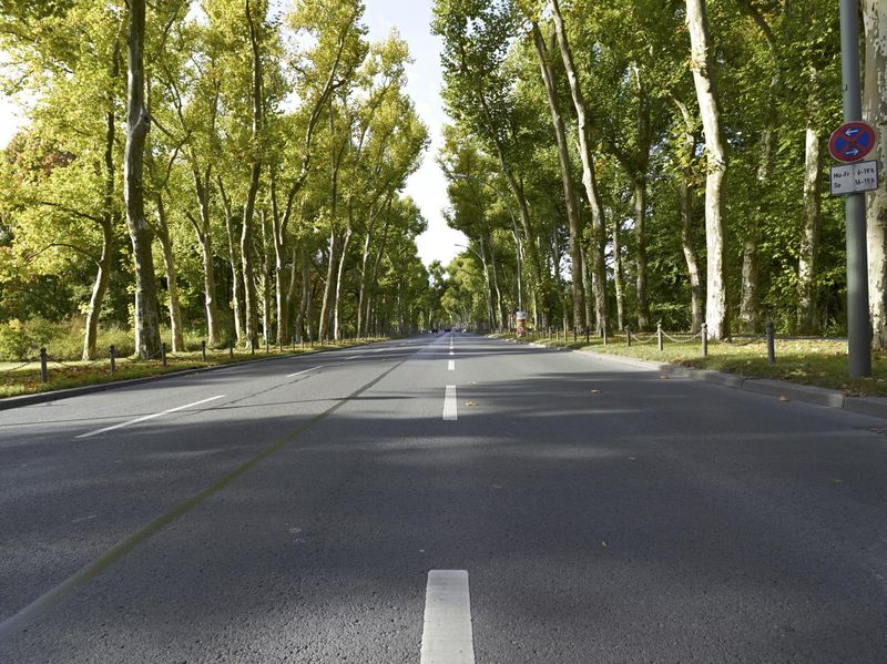 Berlin Road: Asphalt Residential Day HDRi Maps and Backplates