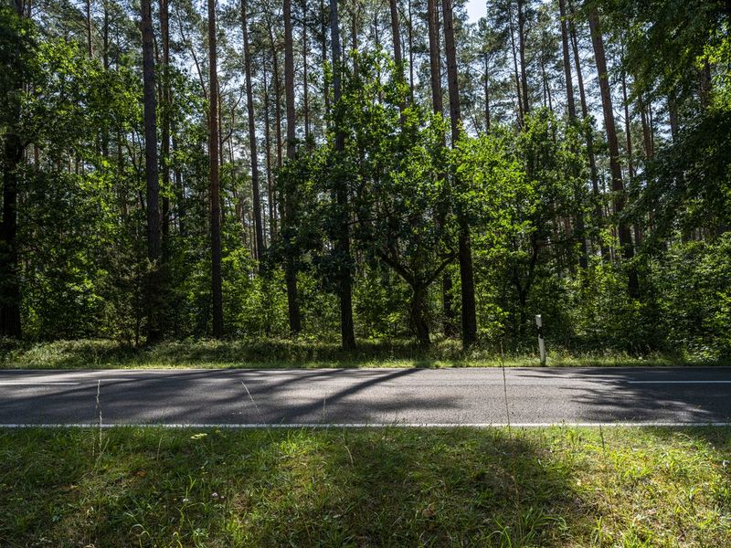 Berlin Road Landscape under Clear Sky HDRi Maps and Backplates