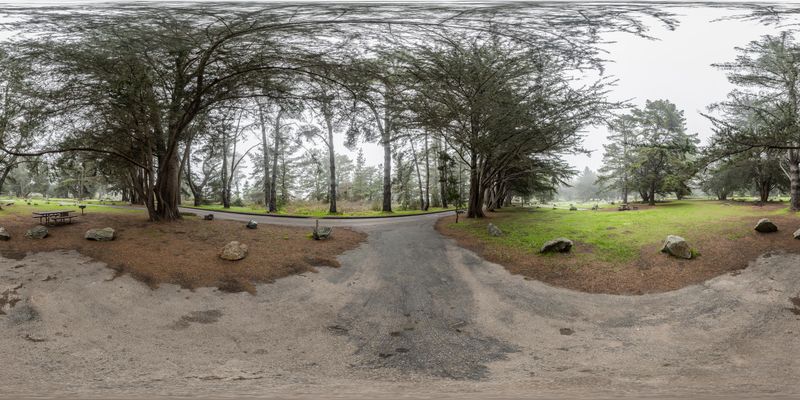Big Sur, California: A Road Surrounded by Greenery and Trees HDRi Maps ...