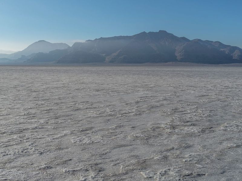 Blizzard in Canada: Snow, Ice, and Frosty Branches HDRi Maps and Backplates