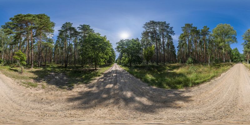 Off-Road Landscape in Brandenburg, Germany HDRi Maps and Backplates